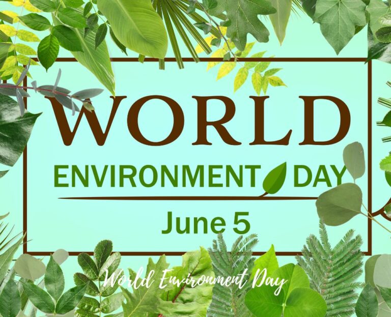 World Environment Day 2026: Date, Theme, and Host Country